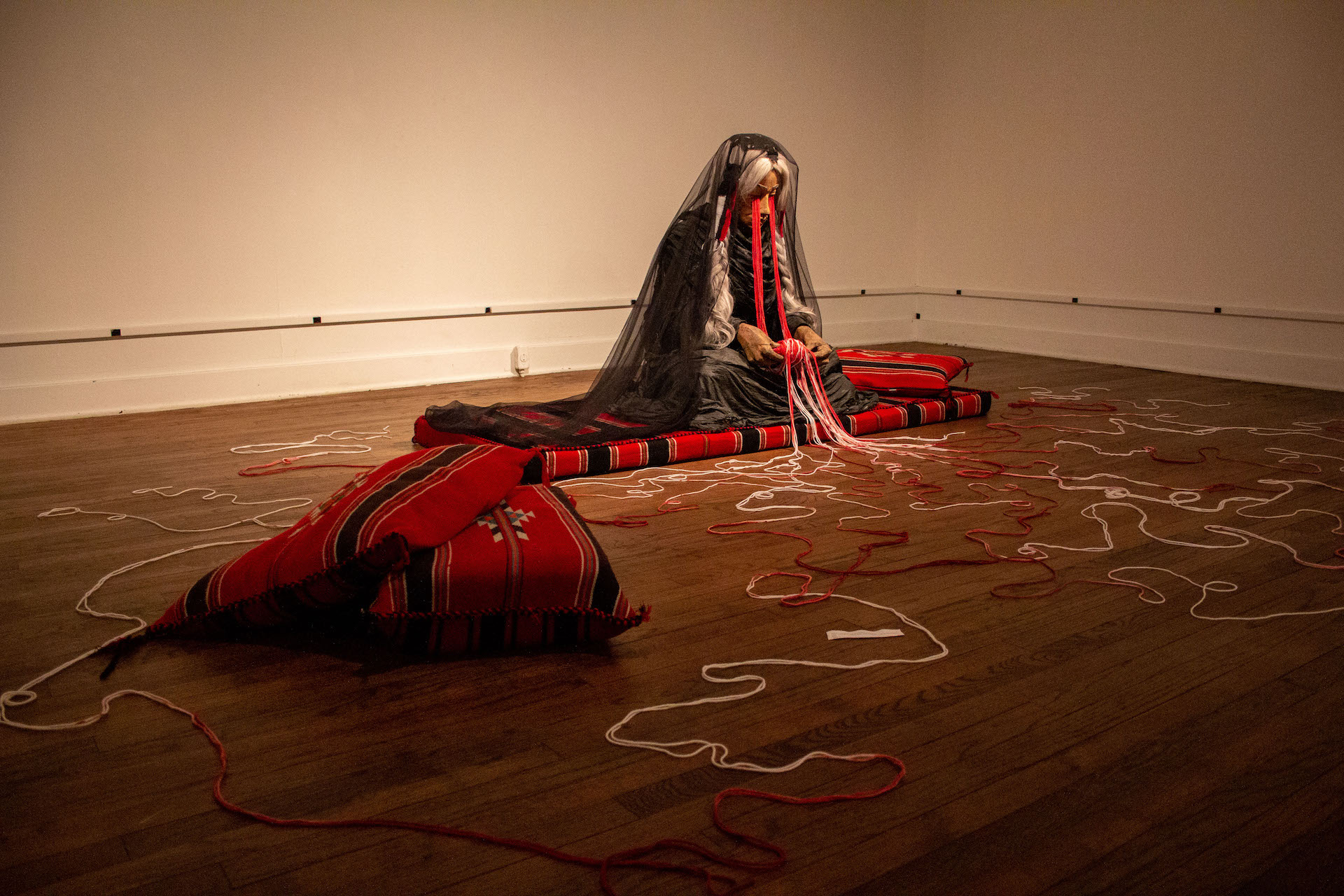 Sarah Alsaied - Archie Bray