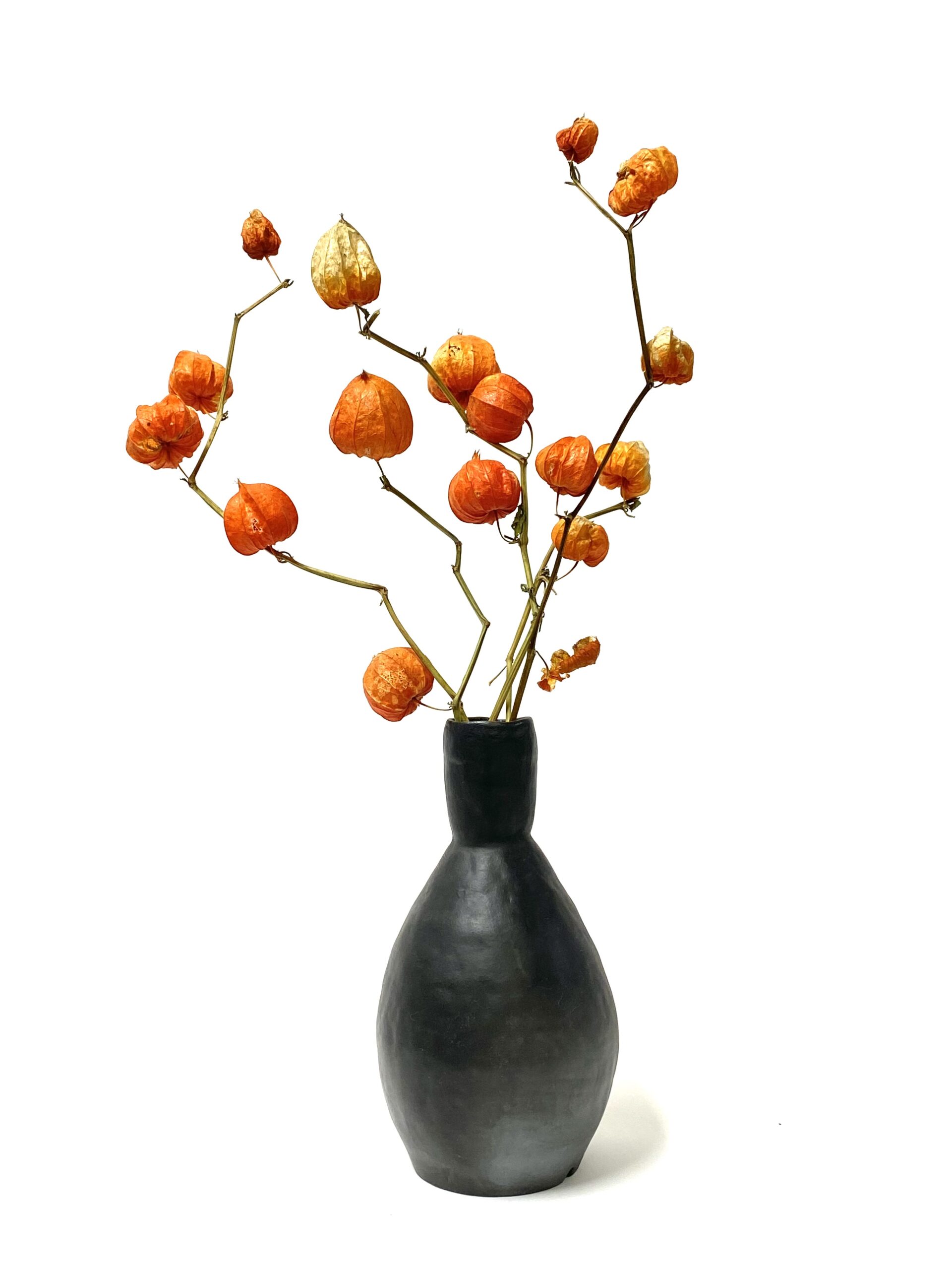 Current Artist Archives - Archie Bray